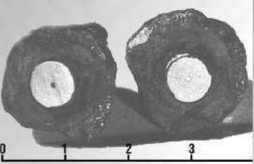 Ancient Artifacts that Challenge Modern Archaeological Thinking